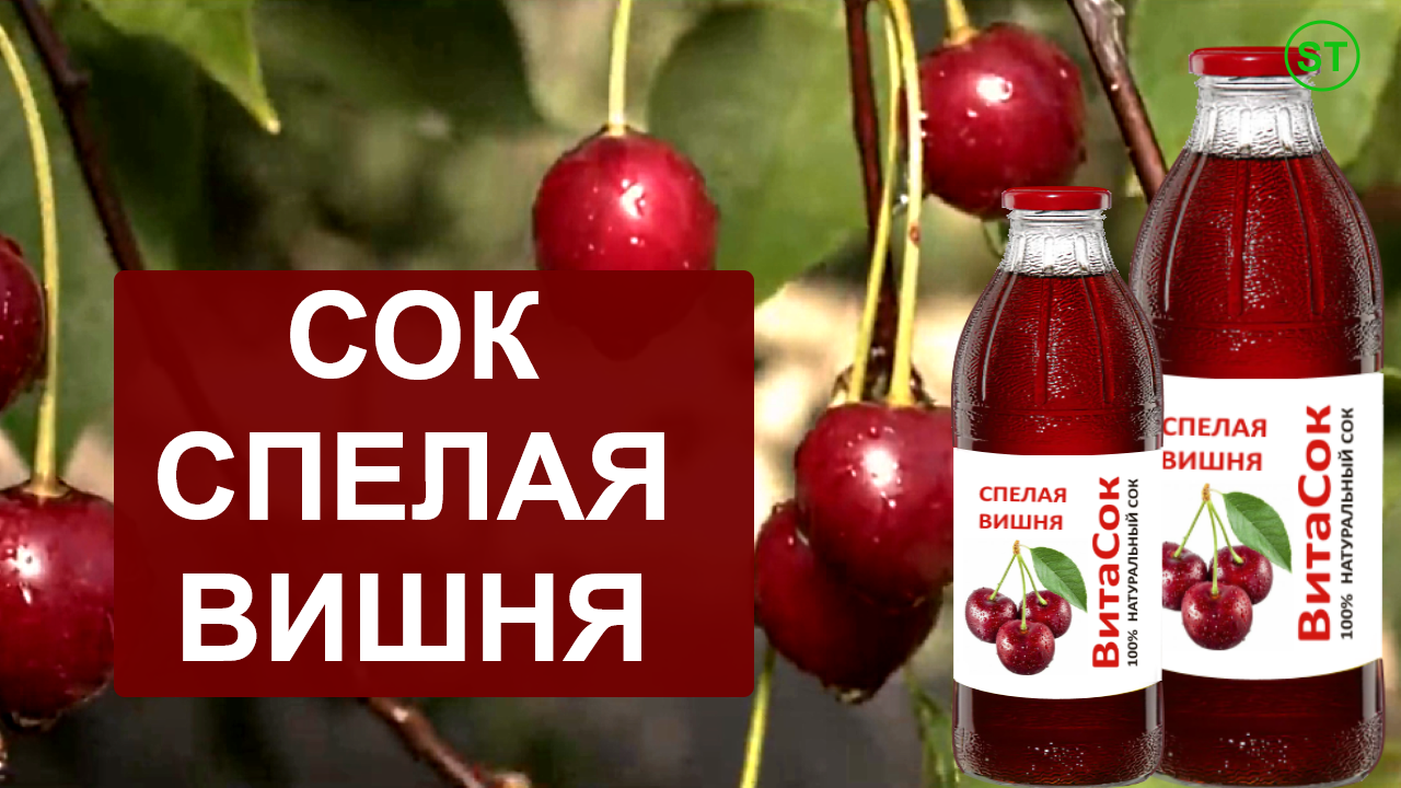 Вишневый сок Cпелая вишня. Польза натурального вишневого сока