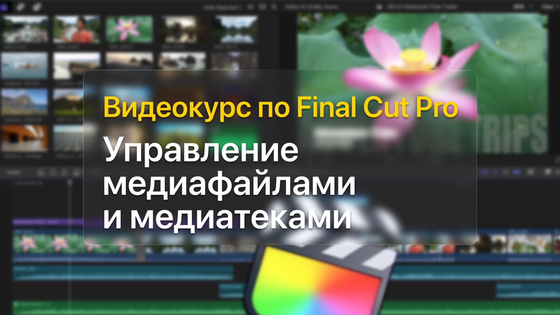 ? Управление медиафайлами и медиатеками — курс уроков по Final Cut Pro