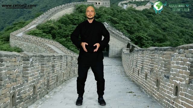 Упражнение для печени. Дыхательные практики для здоровья печени. Константин Перо. Академия Целителей