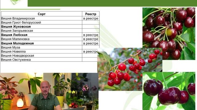 Обучающие семинары, часть 2 - Плодовые деревья