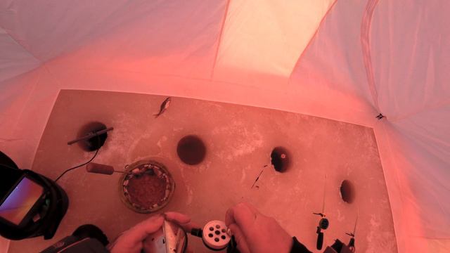 Палатка куб мечта рыбака,рыбалка на новом месте.#fishing , #рыбалка, #bushcraft.