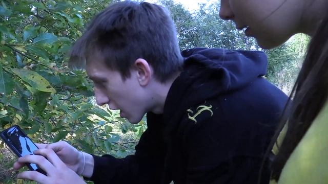 Приложение Удочка