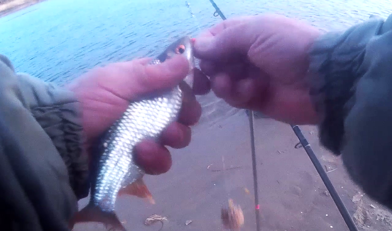 За плотвой на Ахтубу в мороз на донку.