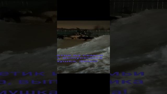 Зимушка-зима!