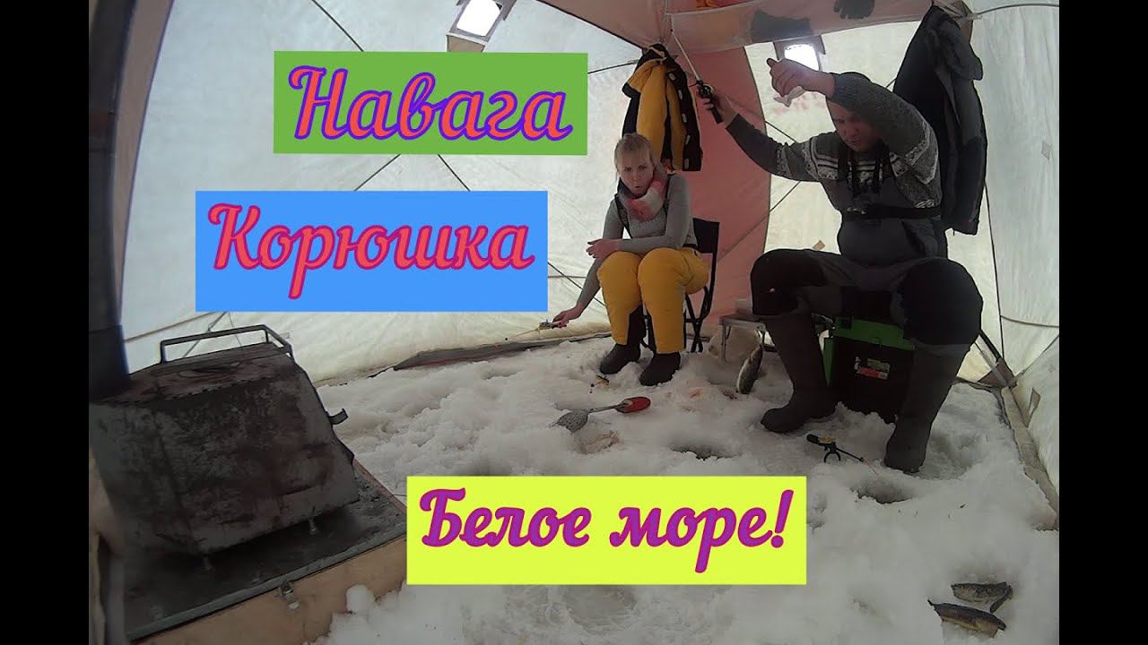 ЗА НАВАГОЙ/ ВОТ ЭТО РЫБАЛКА/ БЕЛОЕ МОРЕ!