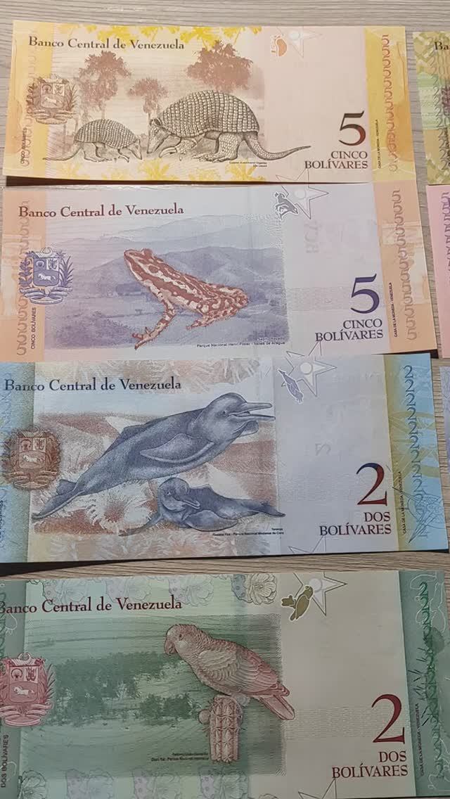 Деньги из Венесуэлы #shorts