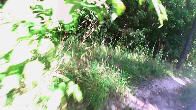 катаемся на мотоциклах