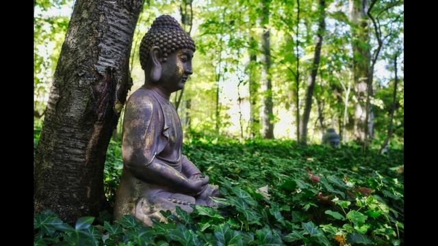 432 Гц 》ВОЛШЕБНАЯ ЛЕСНАЯ МУЗЫКА 》Являйте чудеса 》Поднимите свою вибрацию