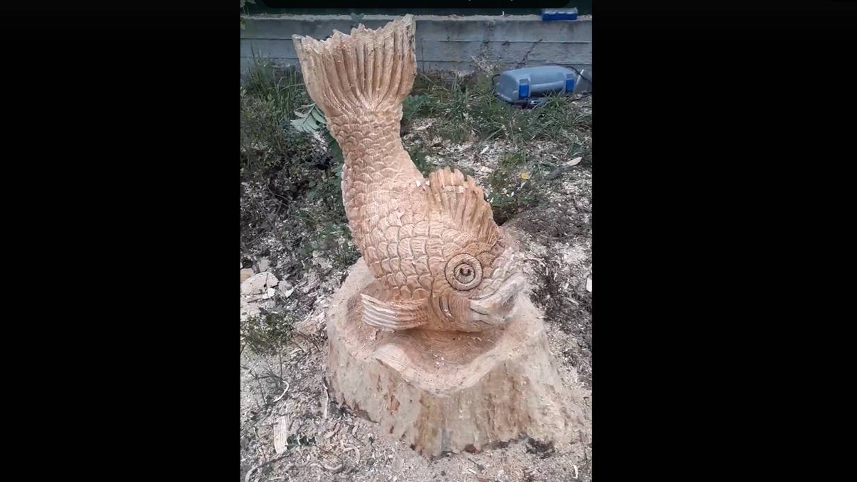 ЗОЛОТАЯ РЫБКА.