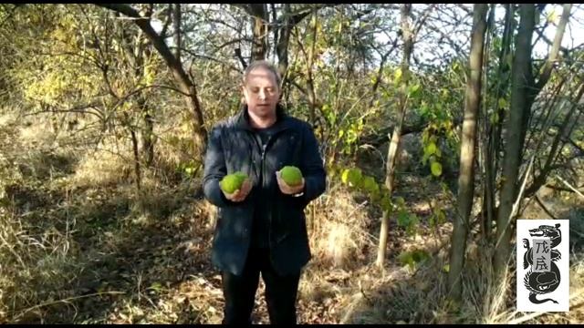 Маклюра год спустя-спасает и от вируса