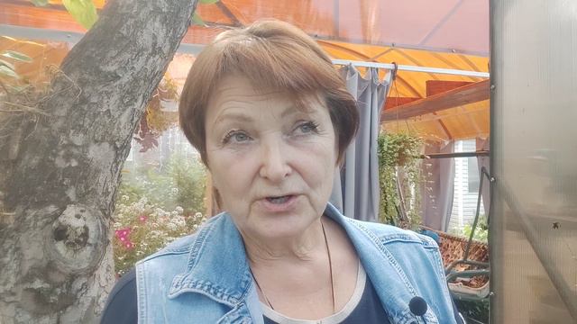 Август 2024. Обзор виноградника. часть 1.