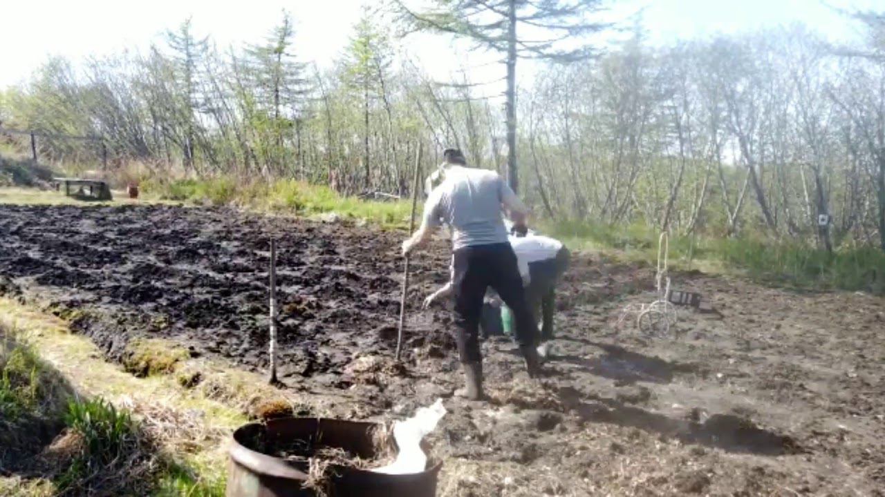 Как мы сажаем картошку в Магадане
