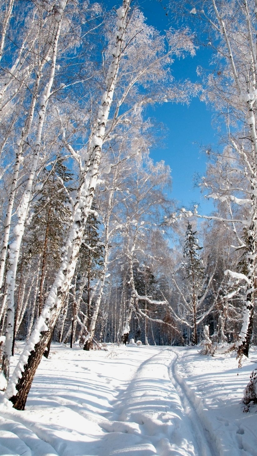 ❄️ Дорого зимнего утра, дня.