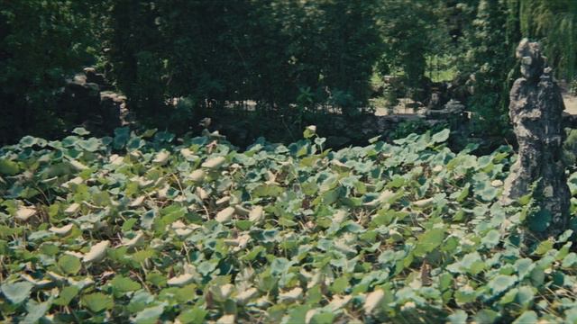 Игра смерти. UHD-BDRip 720p