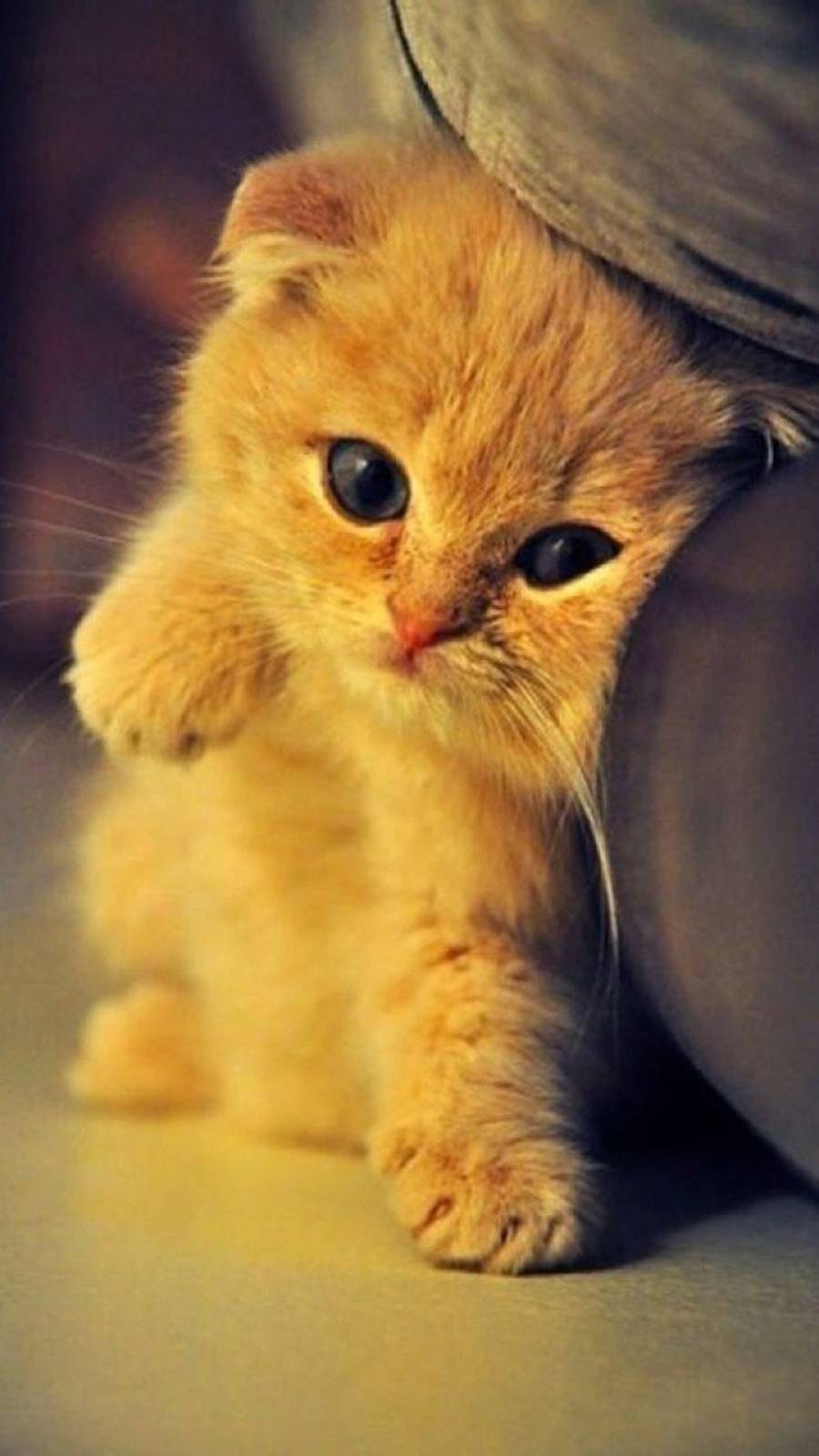 мило 🥺🥺🥺🥺🥺🥺