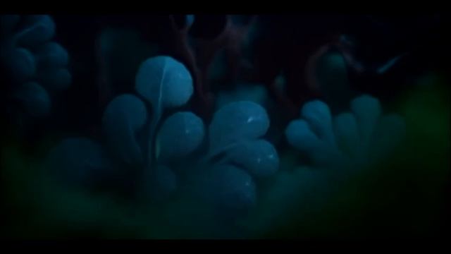 Сгенерированные нейросетями изображения - 2024 музыкальное слайд шоу