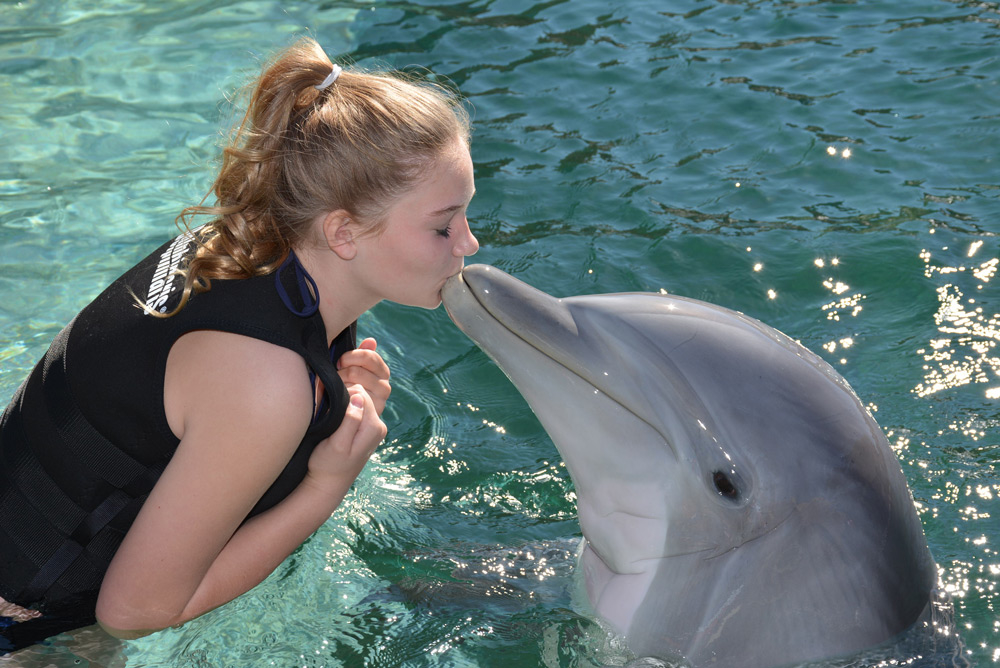 Умение любить - талант от Бога . Автор текста Алла Латулина. Стихи о жизни.