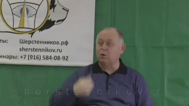 Шерстенников_ Упражнение 'Отключение мозга'.mp4