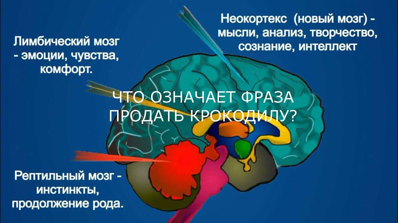 объявление нейромаркетинг