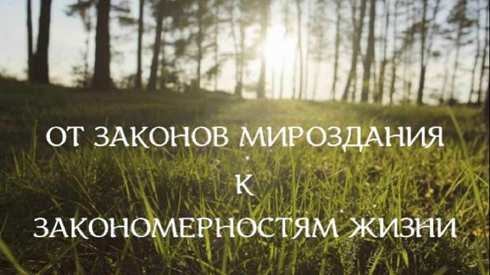 ОТ ЗАКОНОВ МИРОЗДАНИЯ К ЗАКОНОМЕРНОСТЯМ ЖИЗНИ. Борис РАтников✨💎🌟