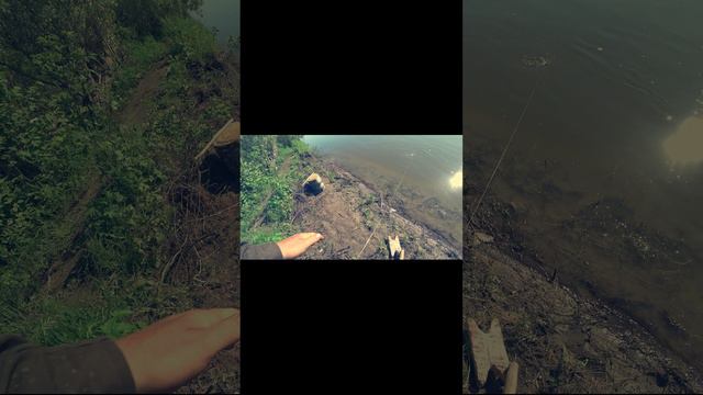 Рыба пошла, а нам домой  Рыбалка на резинку летом. Fishing on a rubber band in summer #shorts