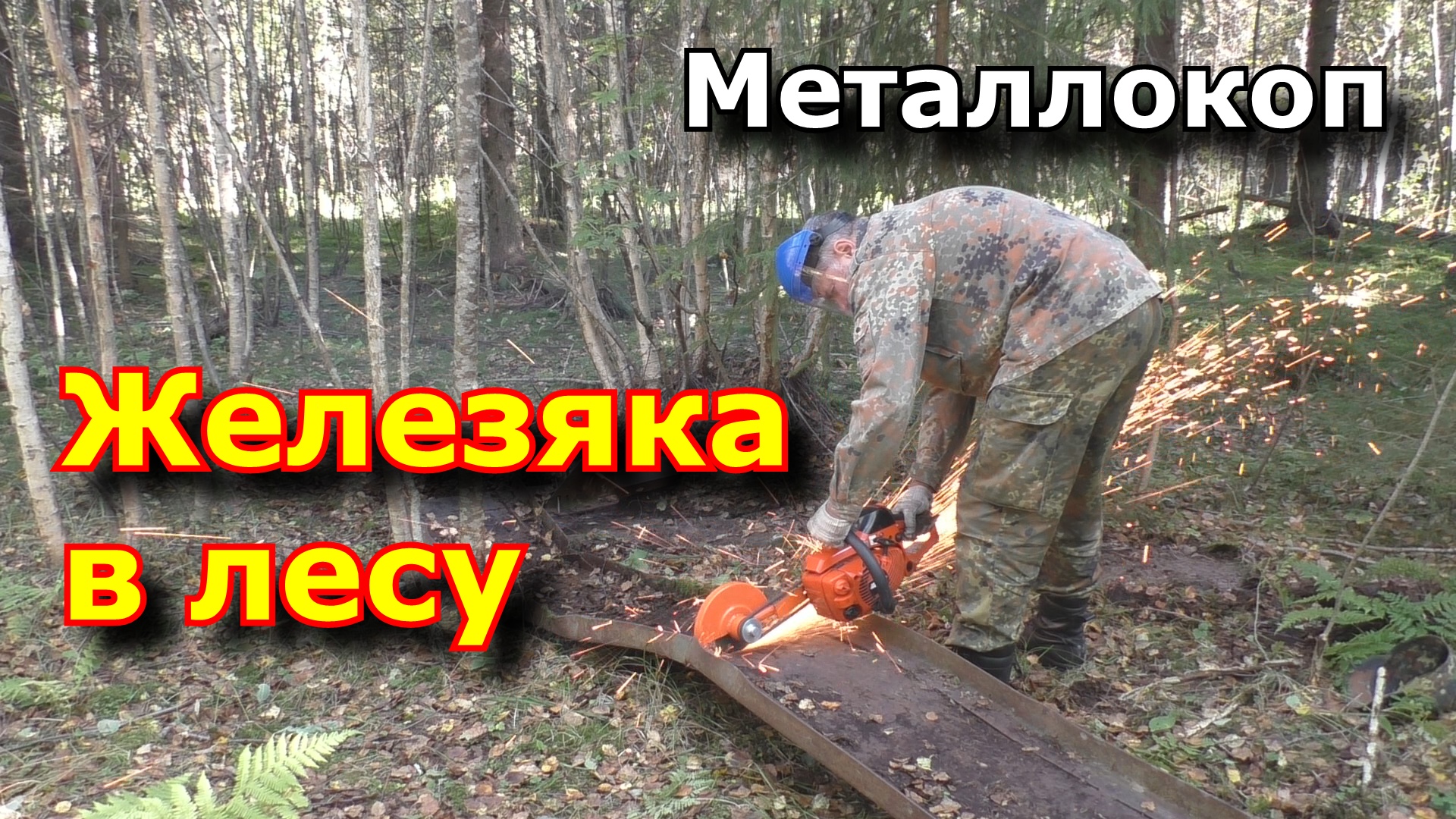 Металлокоп. Железяка в лесу. Пилю и вывожу