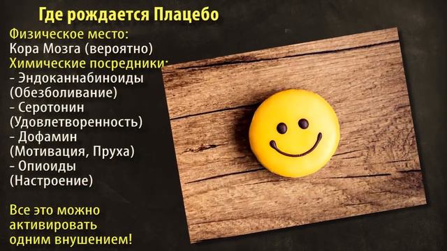 19. Как Легко ВЗЛОМАТЬ Свой МОЗГ