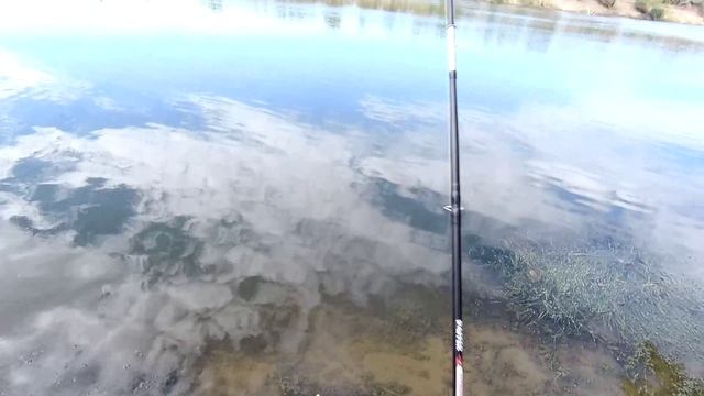 Тест домашних прикормок с youtube. Клюёт ли? Часть 2.