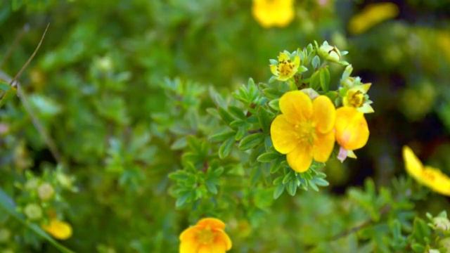 СБОР № 58. ПРИ РЕВМАТИЗМЕ В ПЕРВЫЕ ДНИ ОБОСТРЕНИЯ И ПРИ СЕРДЕЧНОЙ НЕДОСТАТОЧНОСТИ 2 СТЕПЕНИ.