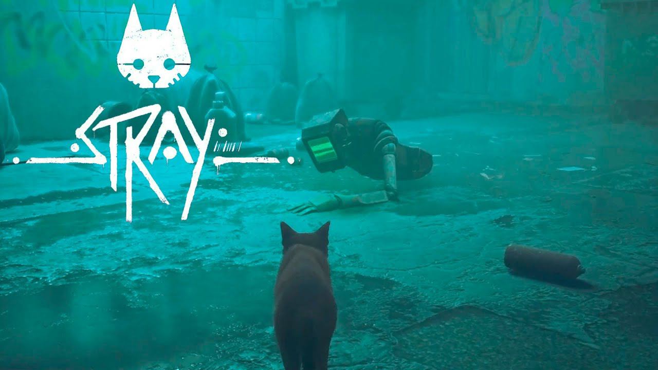 ПРИКЛЮЧЕНИЯ БРОДЯЧЕГО КОТА ► Stray #1