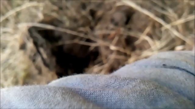 день великих обломов