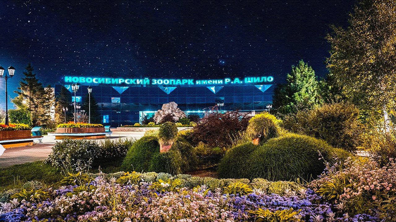 Новосибирский зоопарк. Немного фактов