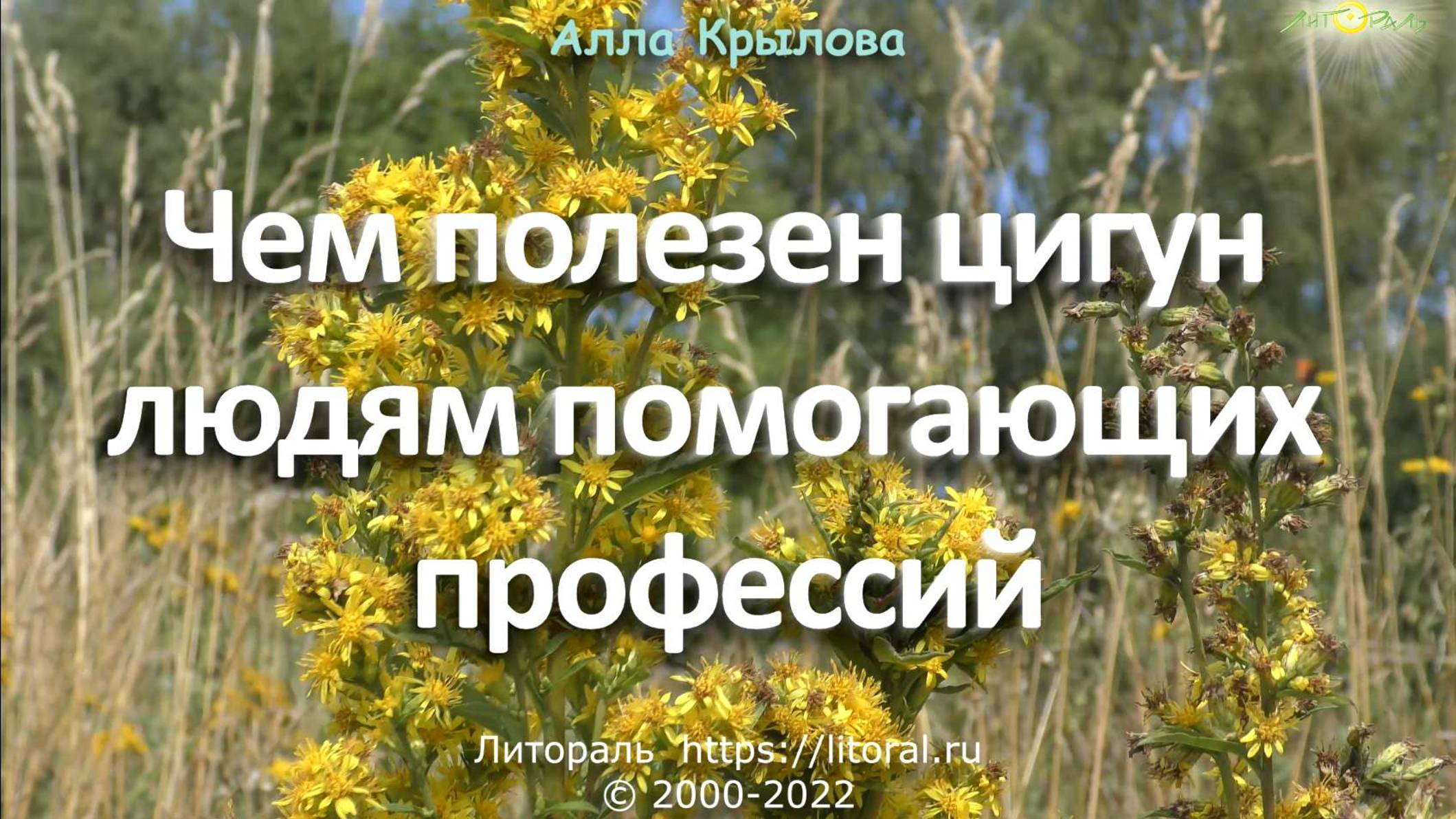 Чем полезен цигун людям помогающих профессий и не только им