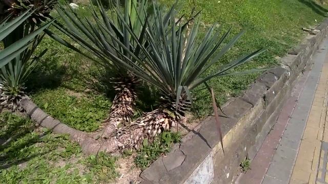 +Сочи едем к Ане