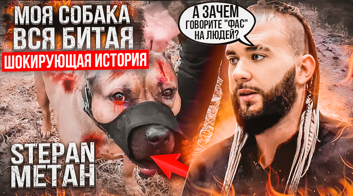 Зачем хозяйка натравливает пса на людей? Эксклюзивные кадры! ШОК!