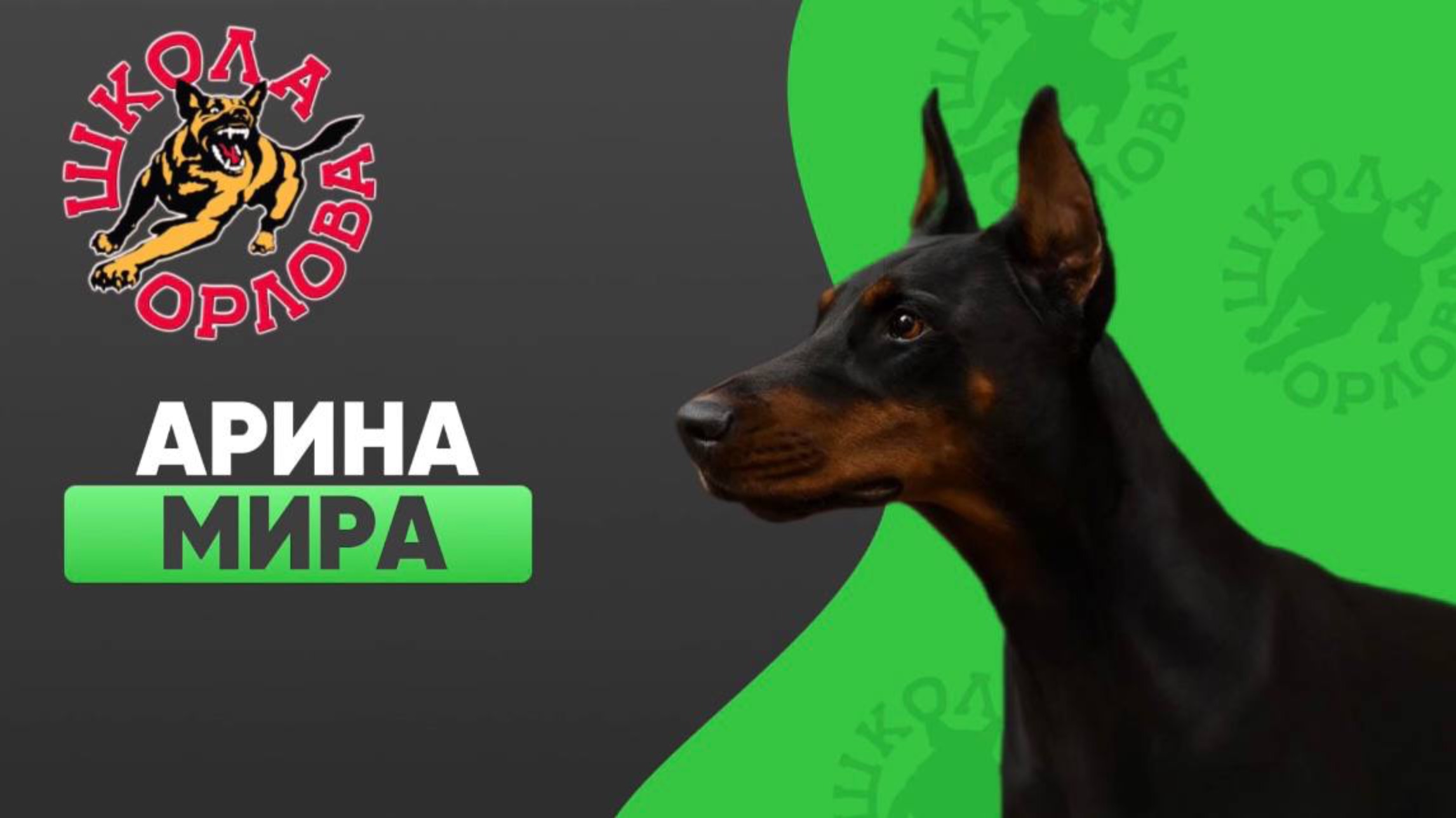 Девочка-подросток воспитала добермана