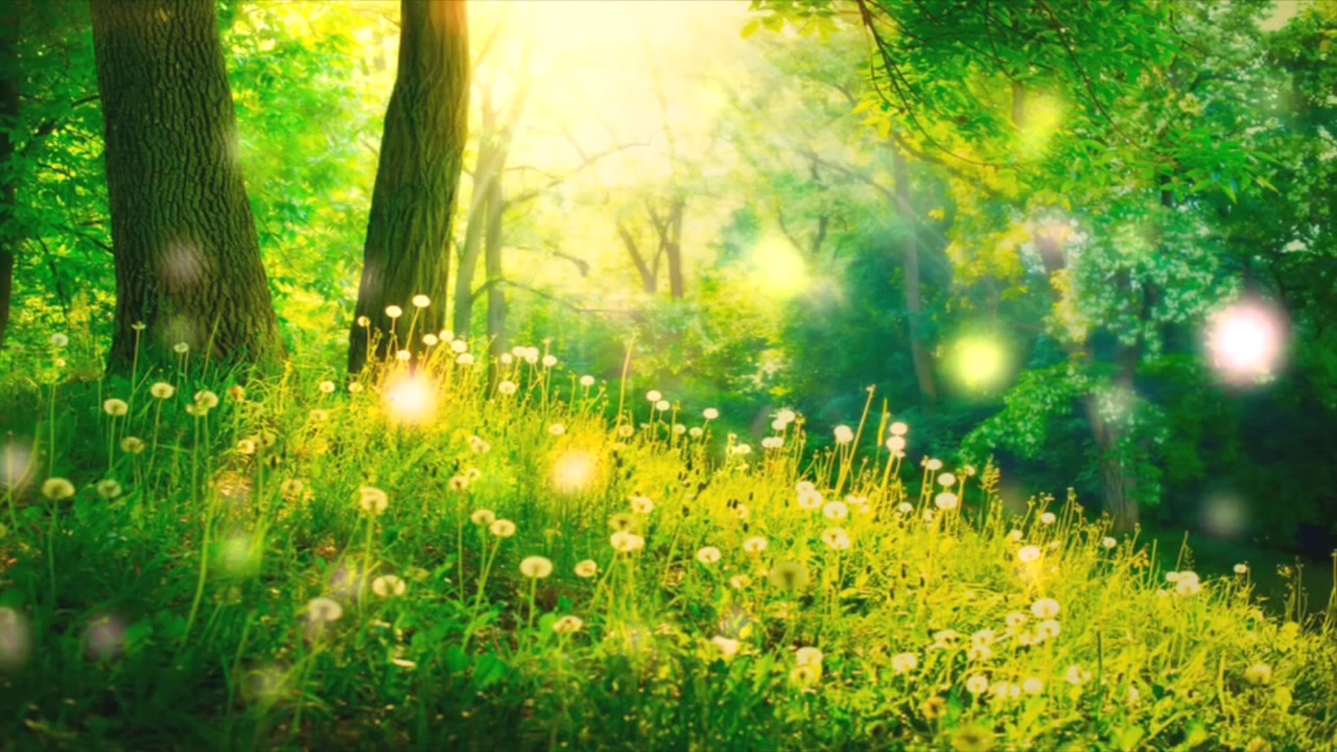 Лечебная музыка ♪ для очистки ауры и исцеления чакр