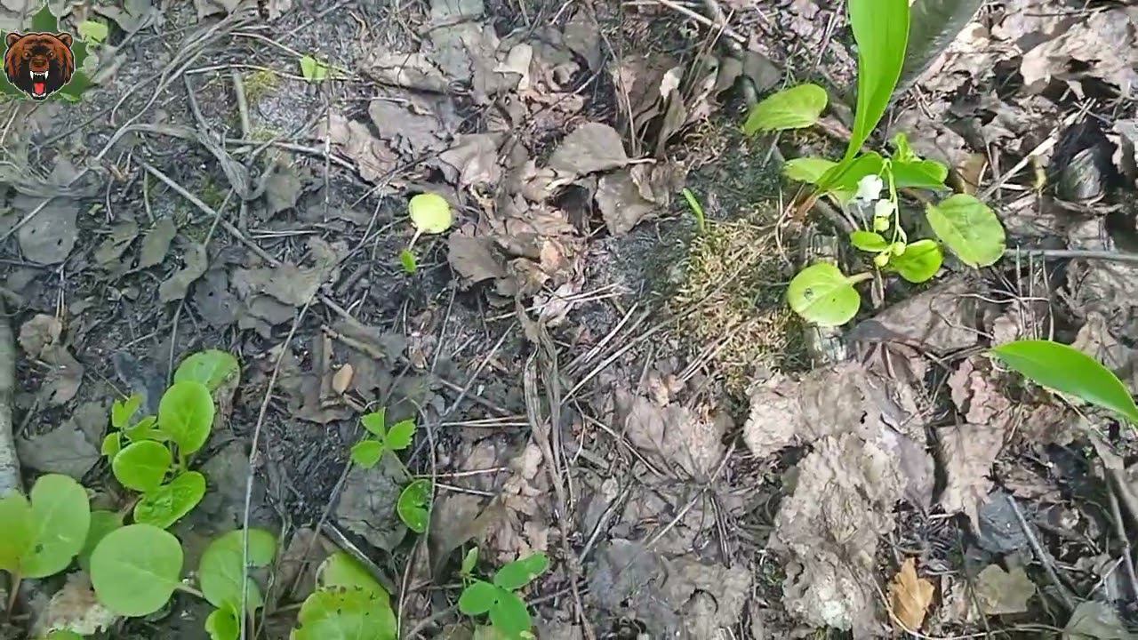 Открытие сезона 4