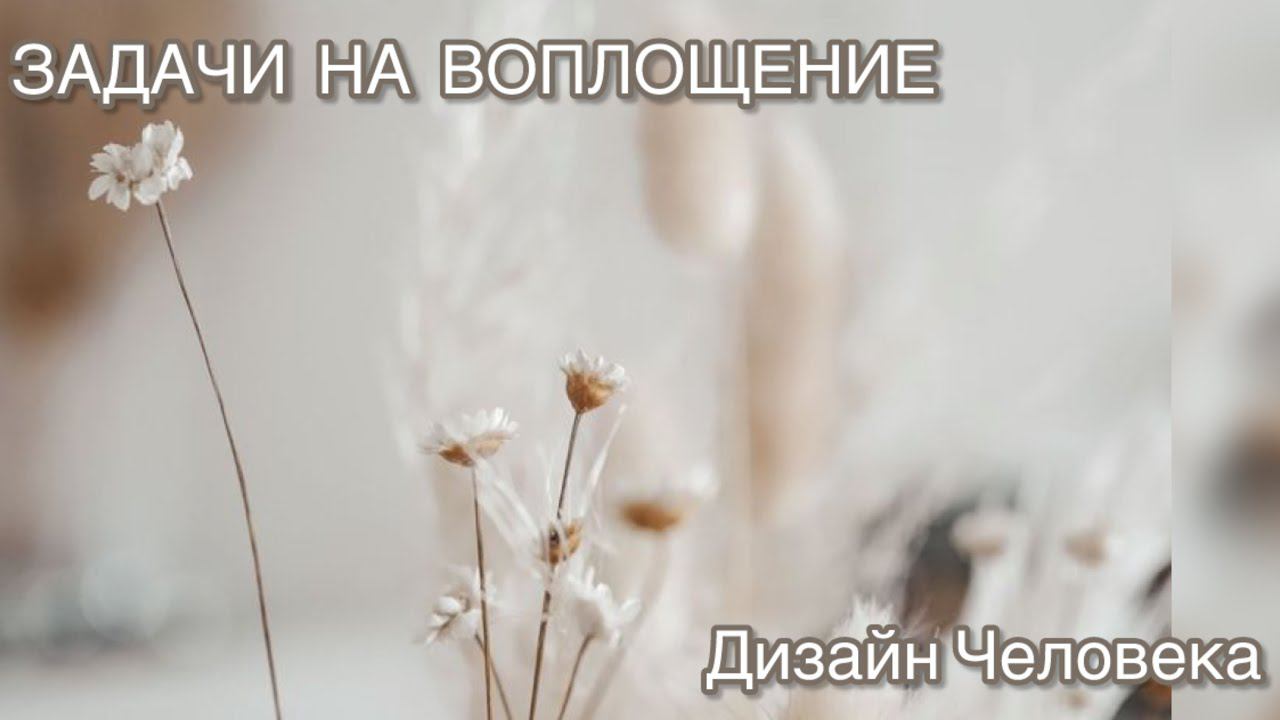 Задачи на воплощение. Предназначение. Смысл