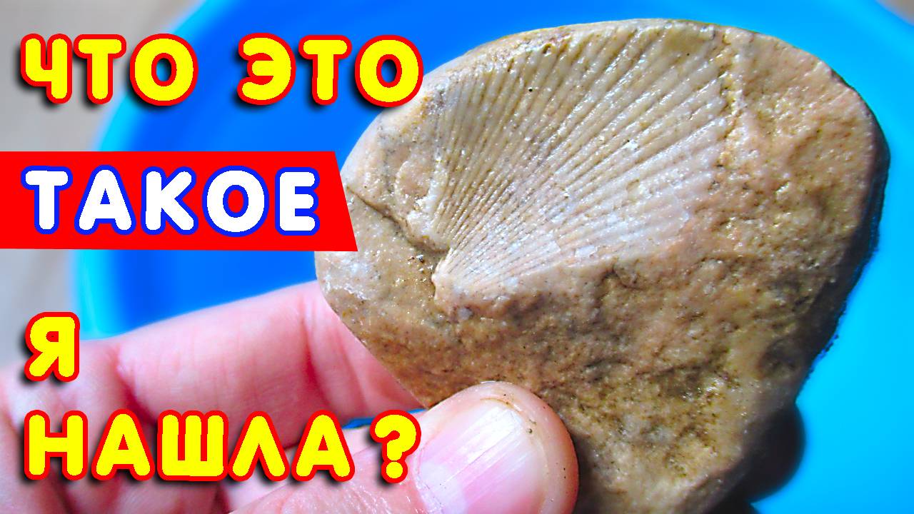 Что СКРЫВАЕТ обычный КАМЕНЬ: моя находка со СТРАННЫМ отпечатком
