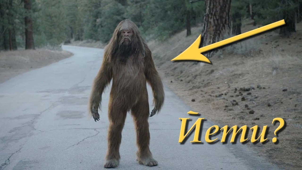 Снежный человек связан с инопланетными цивилизациями. Бурцев И. Д.