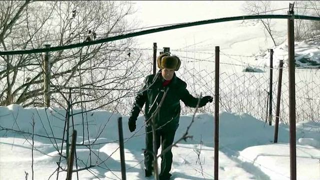 Мы и виноградная лоза