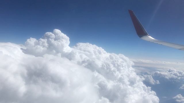 01.08.2022 Полёт Сочи - Москва Шереметьево (Аэрофлот)