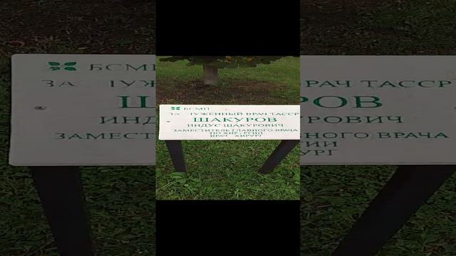 Сквер Славы БСМП 
больница скорой медицинской помощи
г Набережные Челны
26.07.2024 пятница