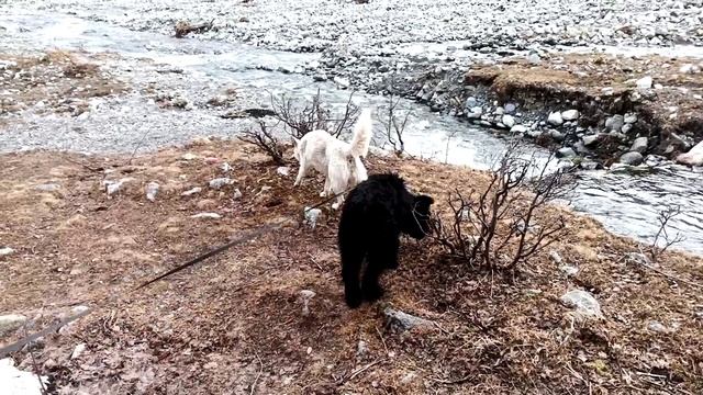 VID_20220504_075157.3gp