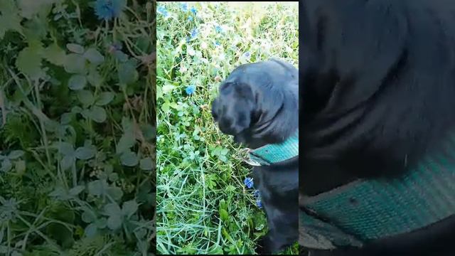 Фармацевт 🤣🤣🤣