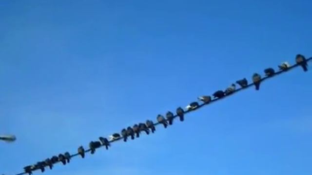 В царстве снежной королевы. - In the kingdom of the snow queen