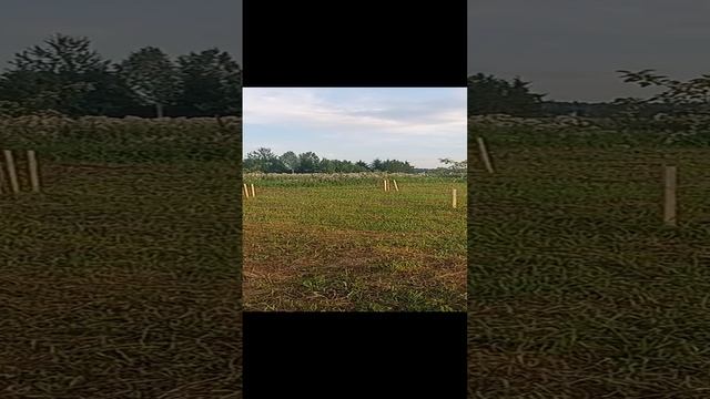 монумент Большое Заречье