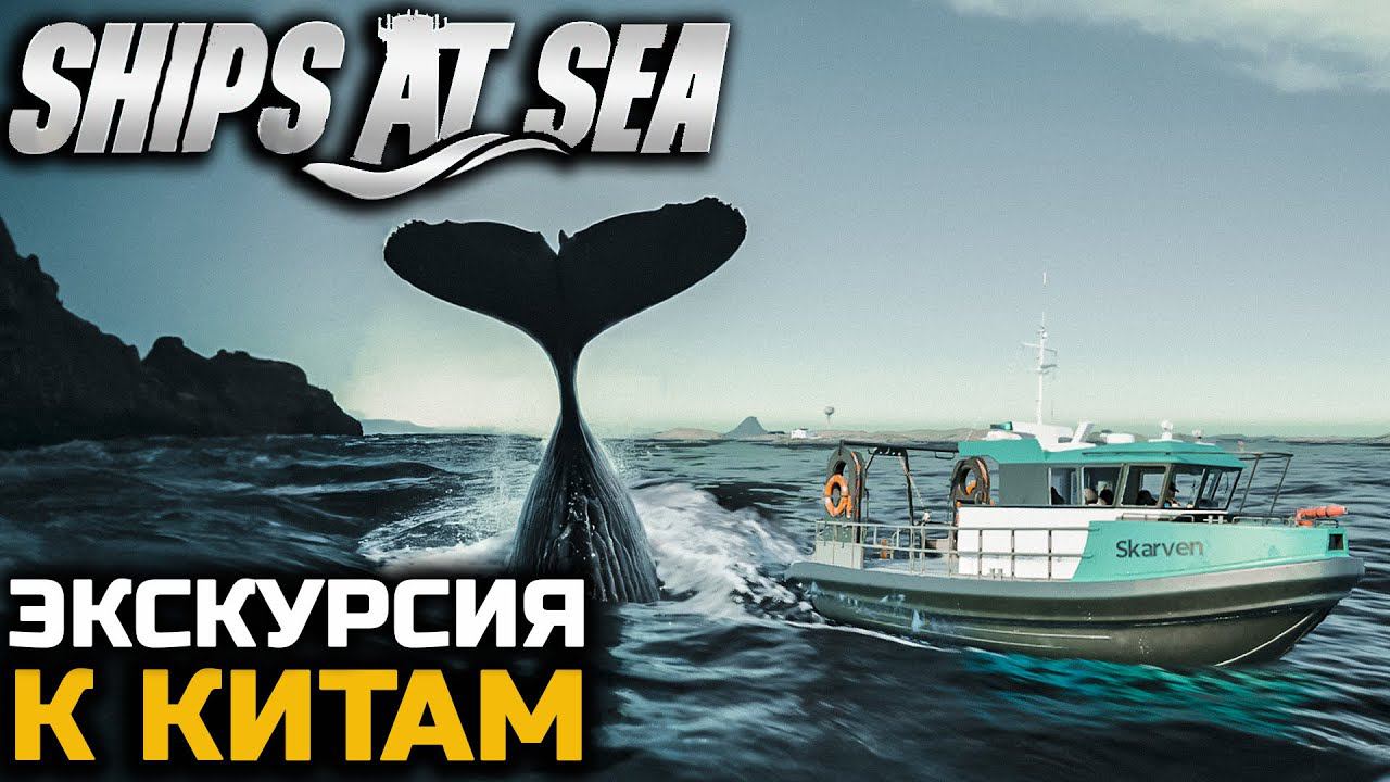 ПРОКАТИЛ ТУРИСТОВ НА БЫСТРОМ КАТЕРЕ И ПОКАЗАЛ КИТОВ - Ships At Sea №10