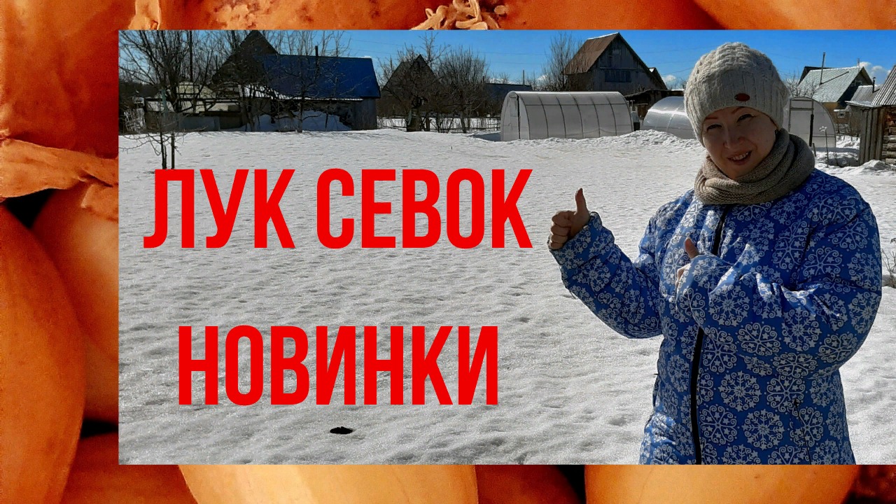 Март в Удмуртии. Лук севок. 